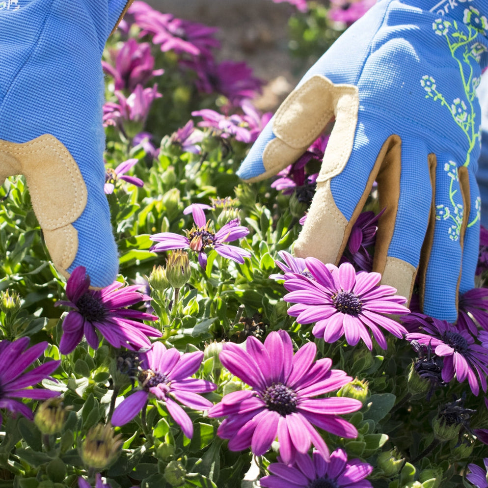 Click to expand Tap to zoom